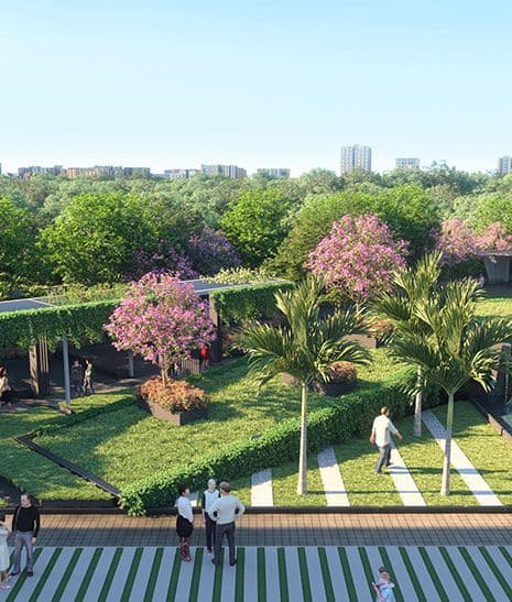 Candeur Skyline